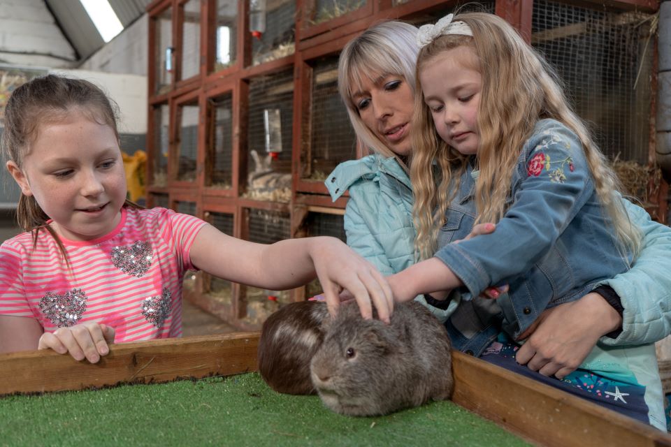 Family Day Out Durham - Adventure Valley | Farmyard Fun