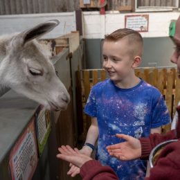 Family Day Out Durham - Adventure Valley | Farmyard Fun