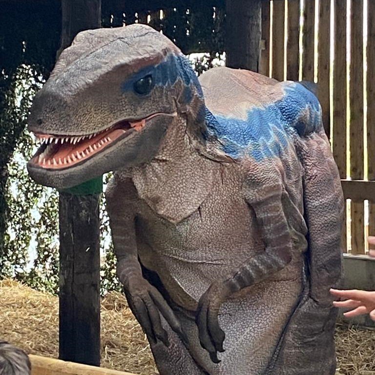 Family Day Out Durham - Adventure Valley | Farmyard Fun