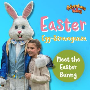 Exclusive Theme Park Offers & Discounts | Adventure Valley