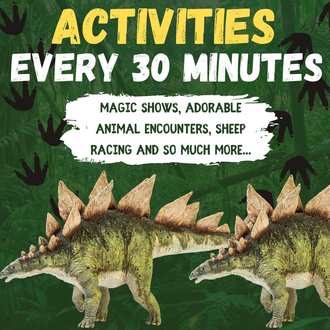 Birds Of Prey | Animal Shows | Adventure Valley